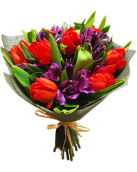 Tulips delivery in Philippines | Bouquets of tulips with delivery in ...